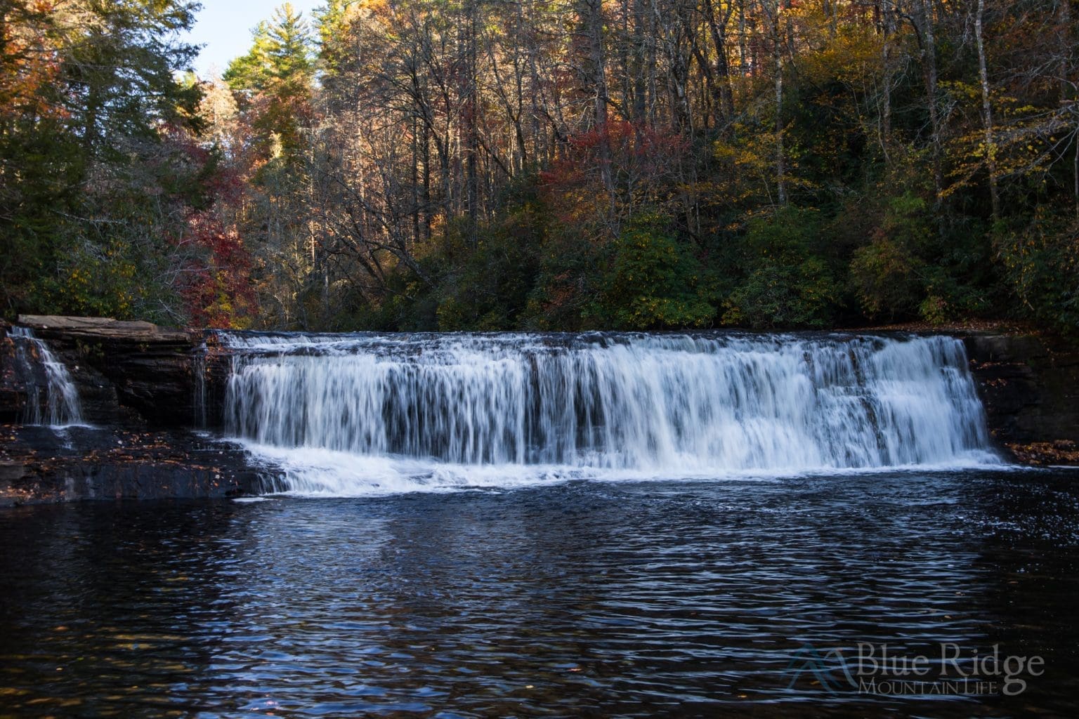 Fall Foliage 2022 Forecast and Guide - Blue Ridge Mountain Life