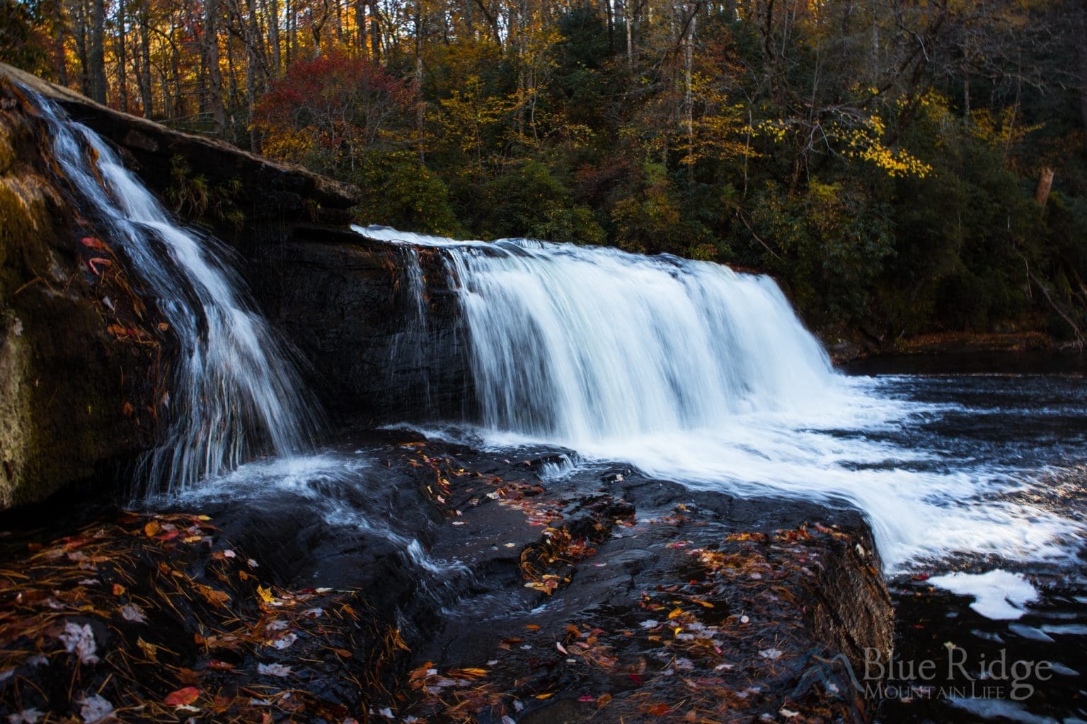 Fall Foliage 2022 Forecast and Guide - Blue Ridge Mountain Life