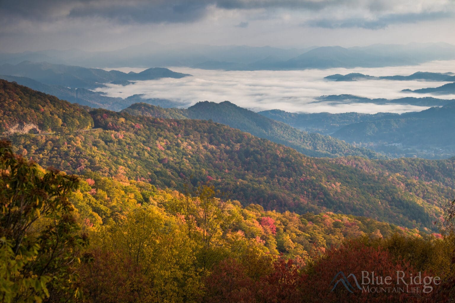 Fall Foliage 2022 Forecast and Guide - Blue Ridge Mountain Life