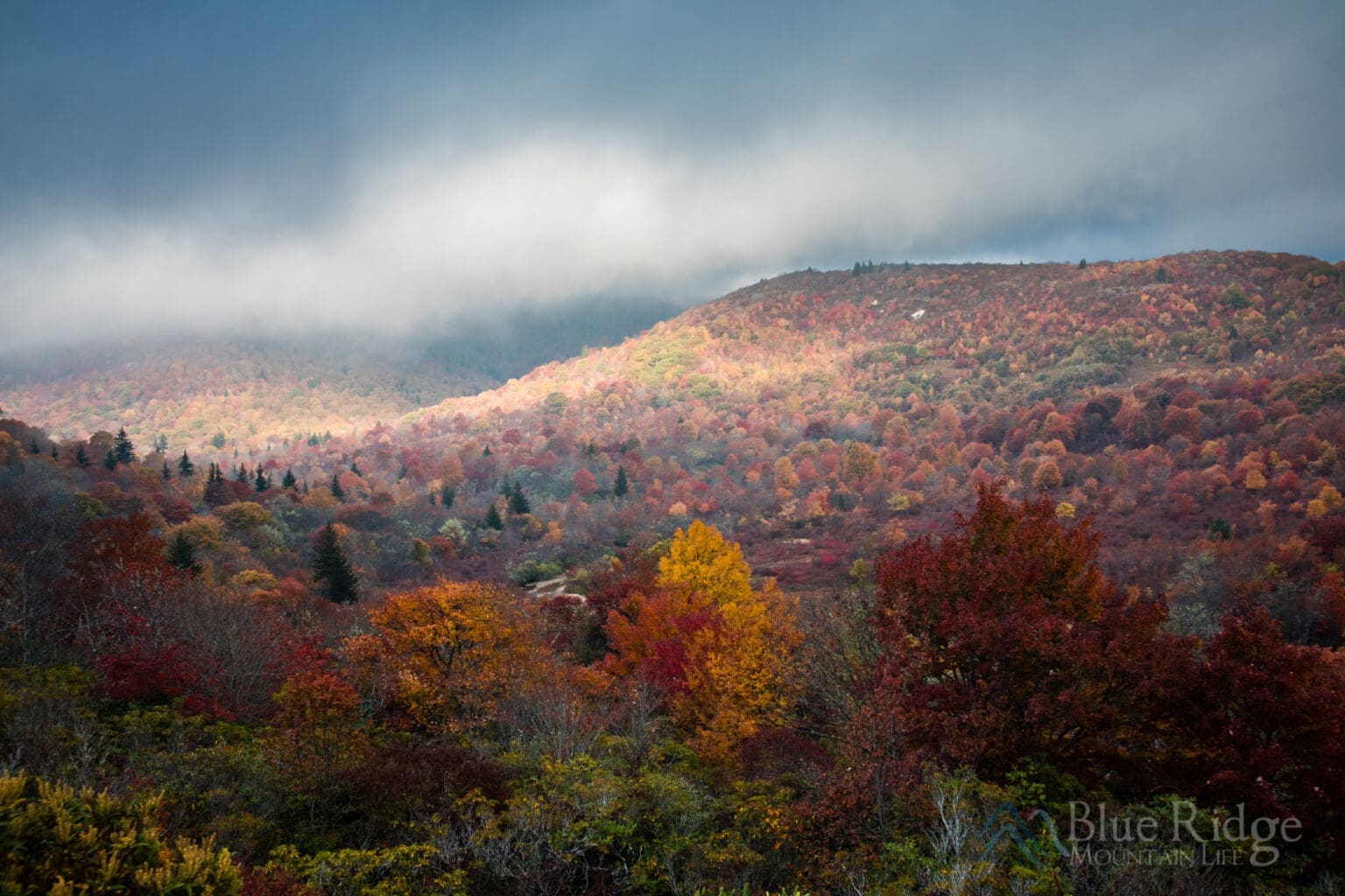 Fall Foliage 2022 Forecast and Guide - Blue Ridge Mountain Life