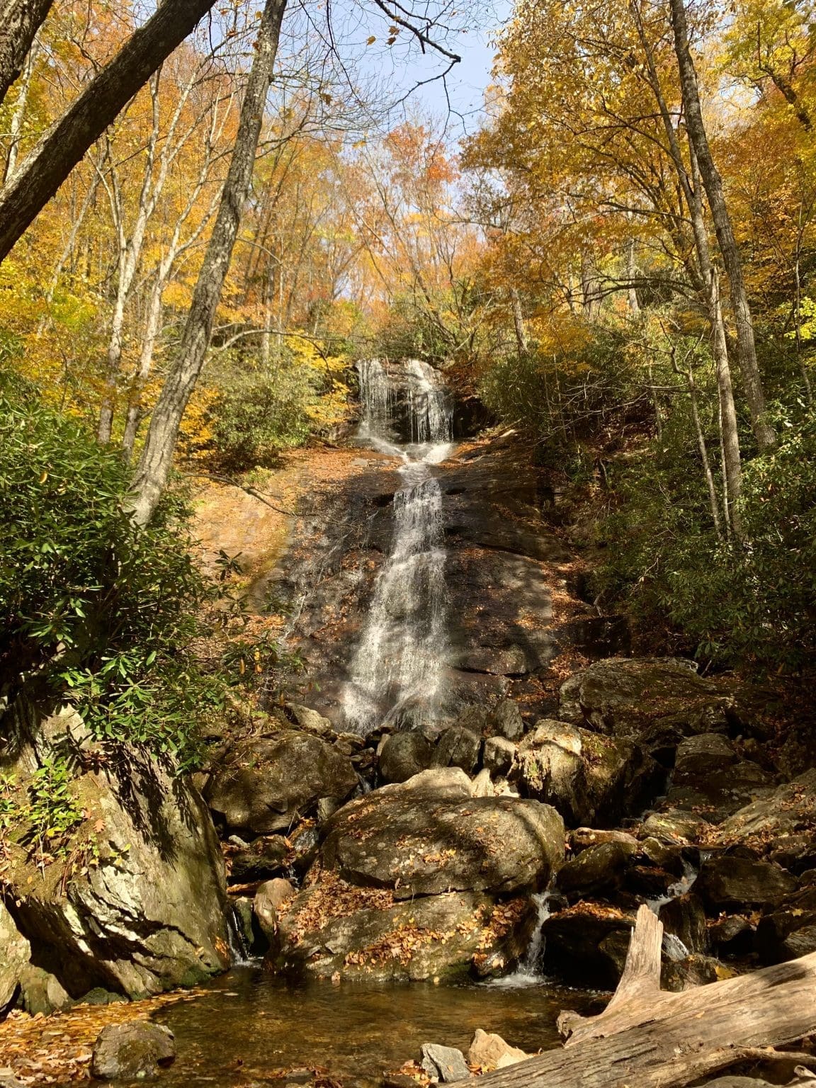 Fall Foliage 2022 Forecast and Guide - Blue Ridge Mountain Life