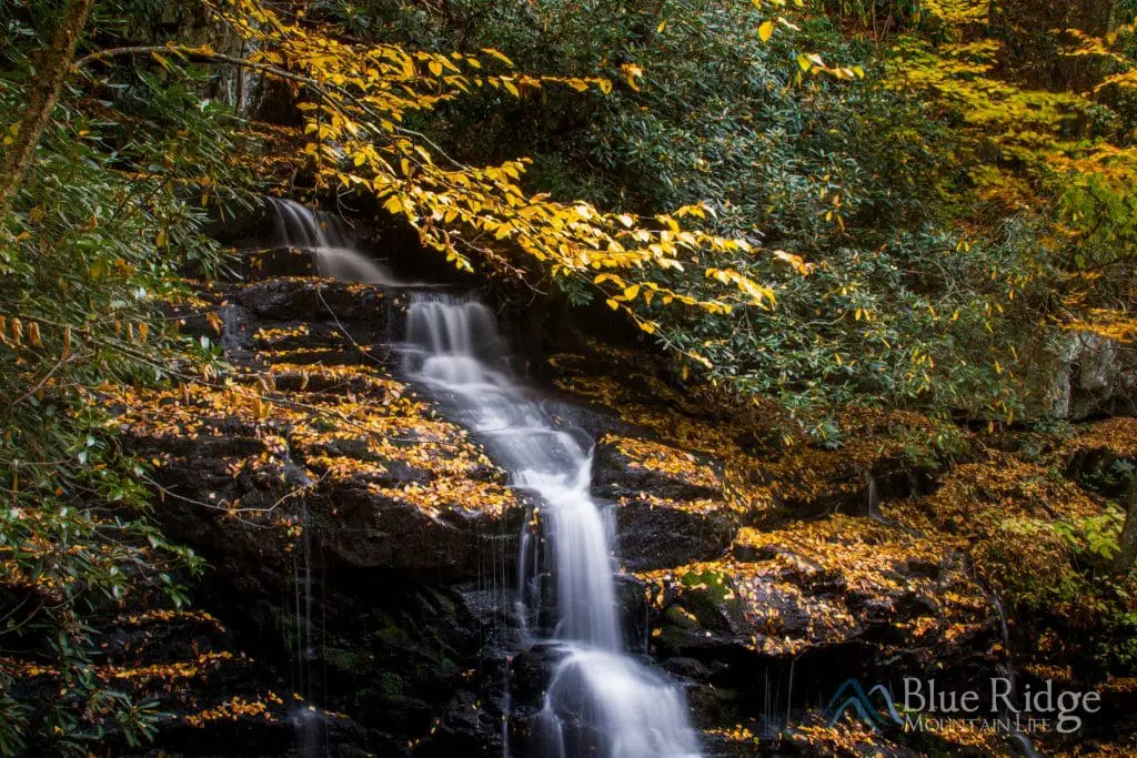 14+ Best Waterfalls on the Blue Ridge Parkway