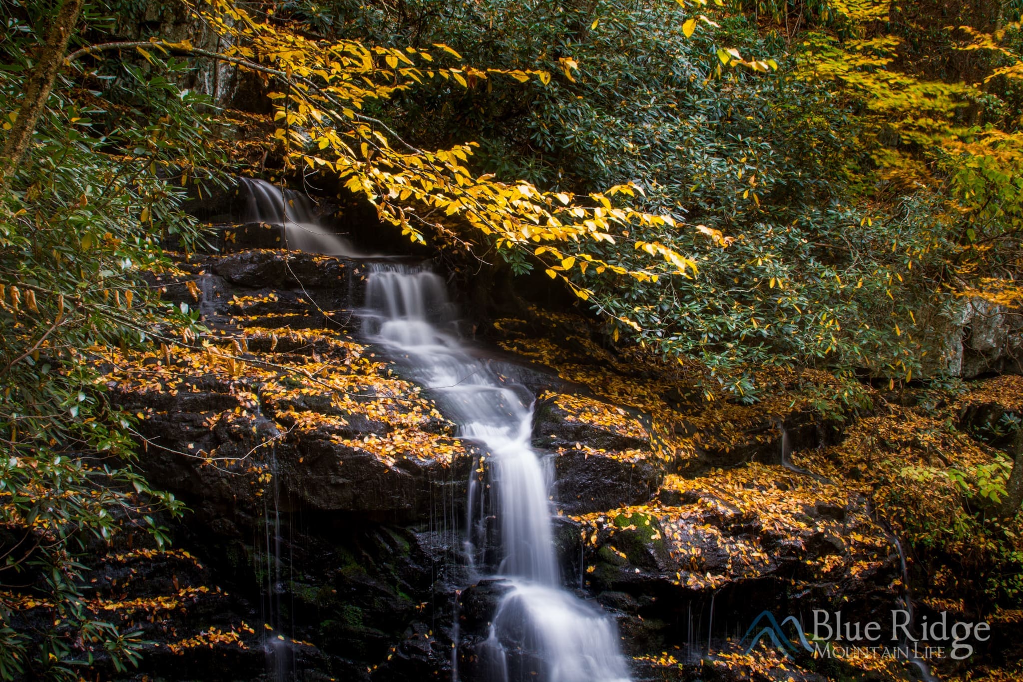 14+ Best Waterfalls on the Blue Ridge Parkway
