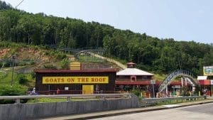 Mountain Coasters - The 10+ best in the Blue Ridge Mountains