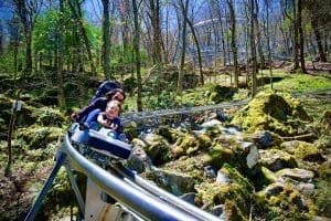 Mountain Coasters - The 10+ best in the Blue Ridge Mountains
