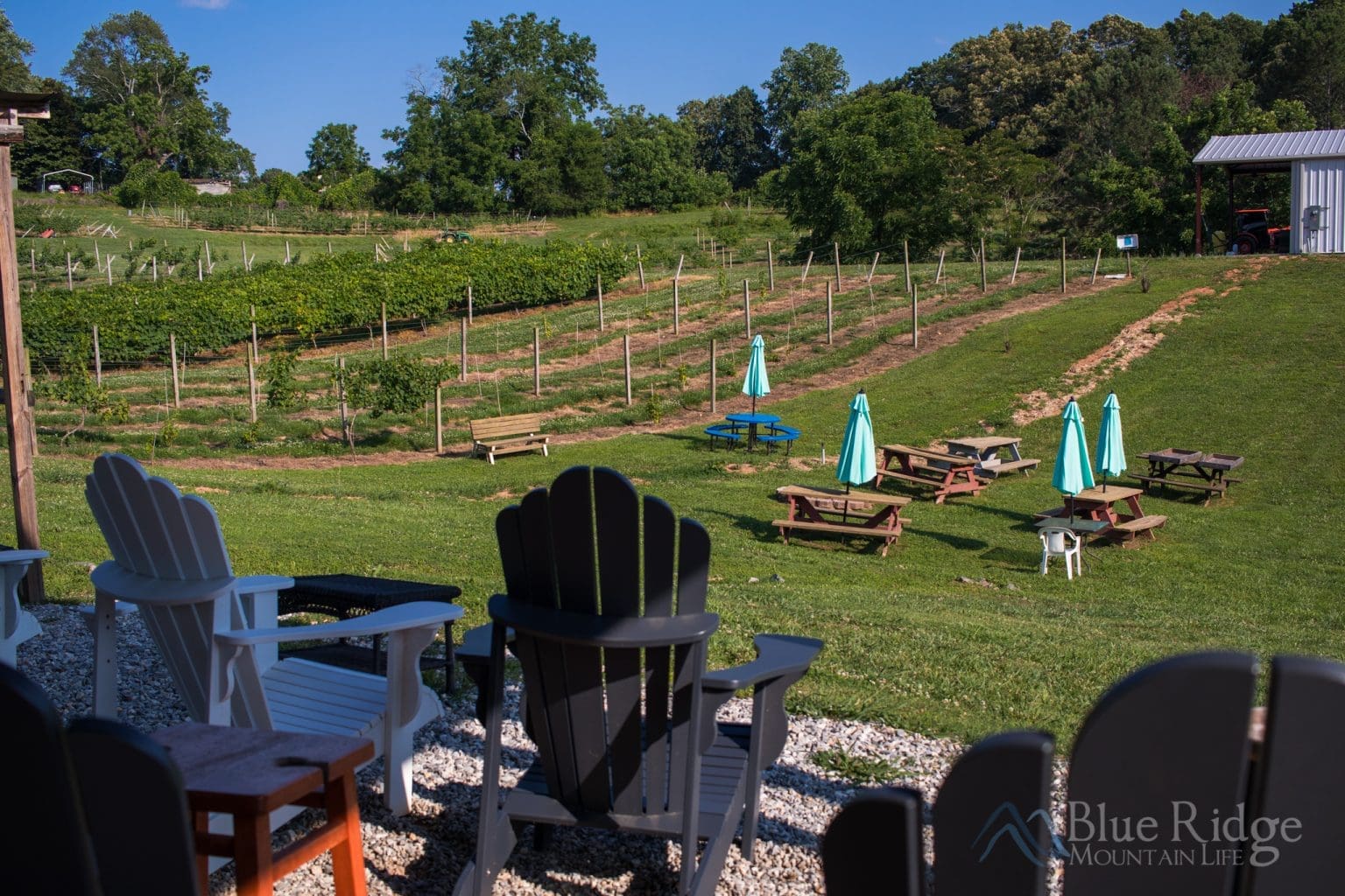 21+ Best Things to Do in Ellijay, GA