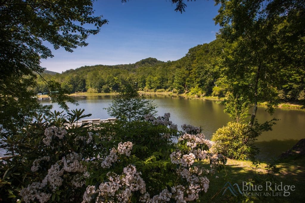 25+ Unforgettable Things to Do in Banner Elk NC