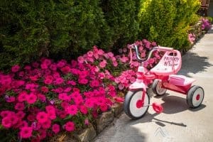 21 Unforgettable Things to Do in Banner Elk NC