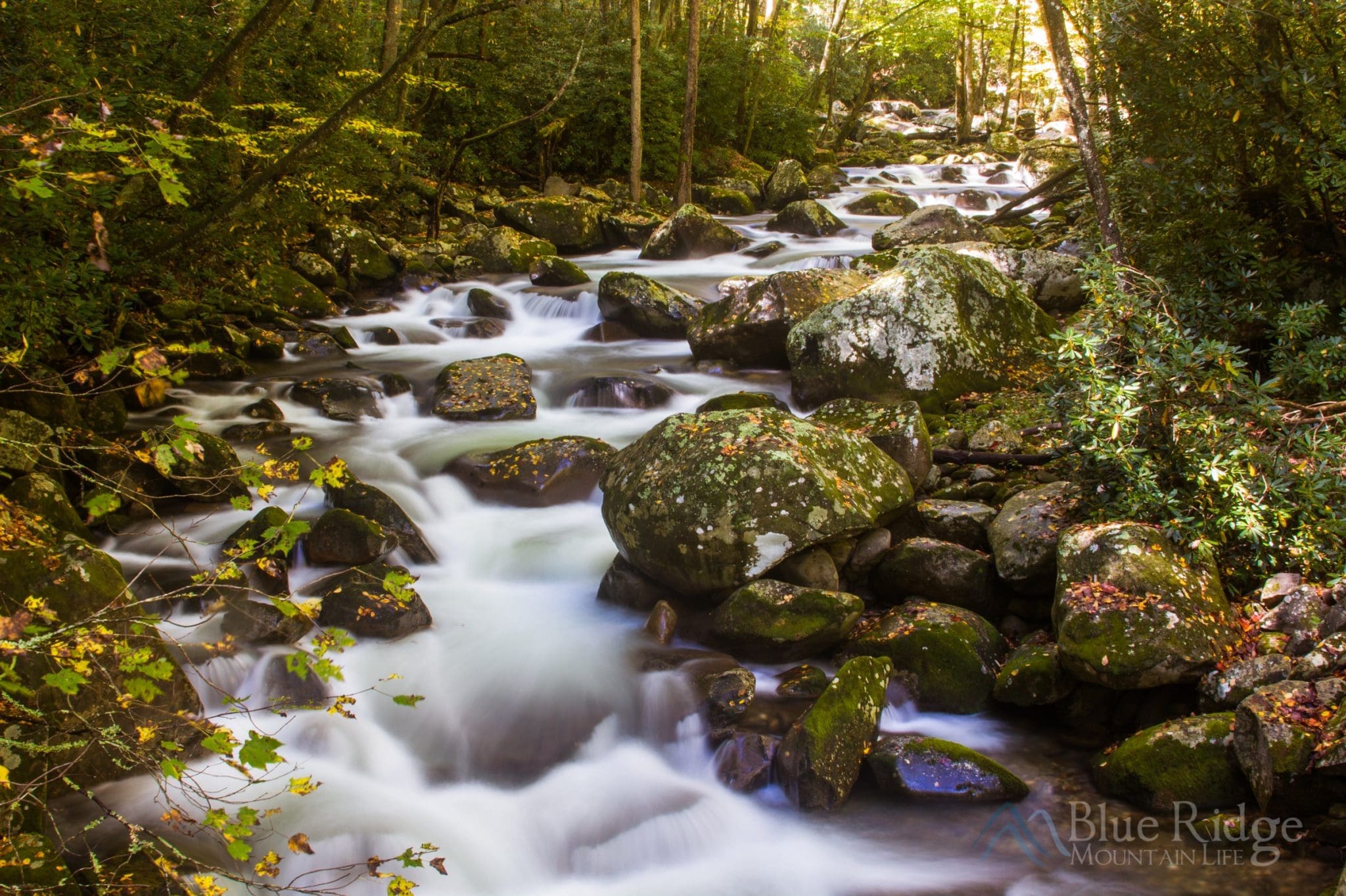 Big Creek Great Smoky Mountains National Park
