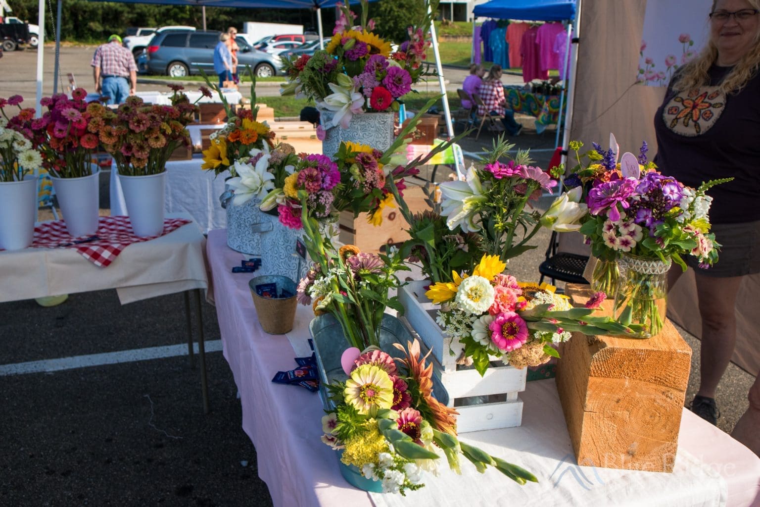 21+ Best Things to Do in Ellijay, GA