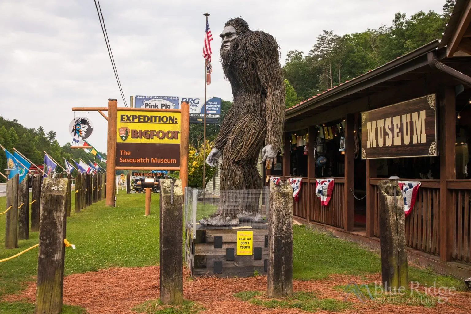 21+ Best Things to Do in Ellijay, GA
