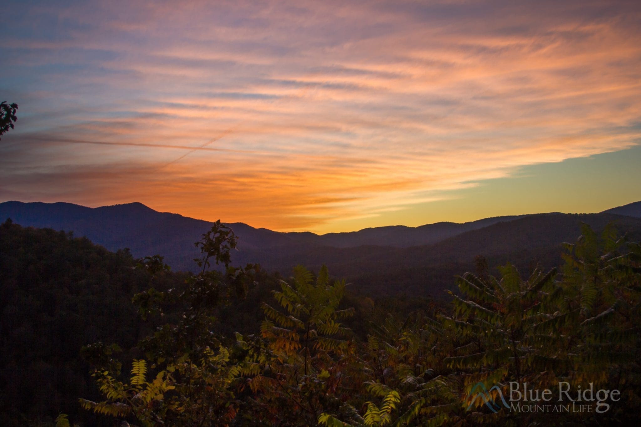 Cataloochee Valley Guide – Explore the History and Beauty
