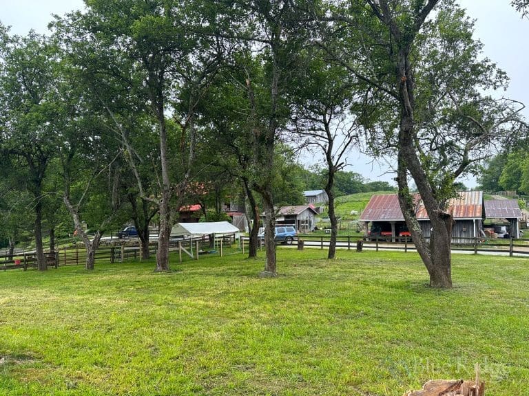 21 Unforgettable Things to Do in Banner Elk NC