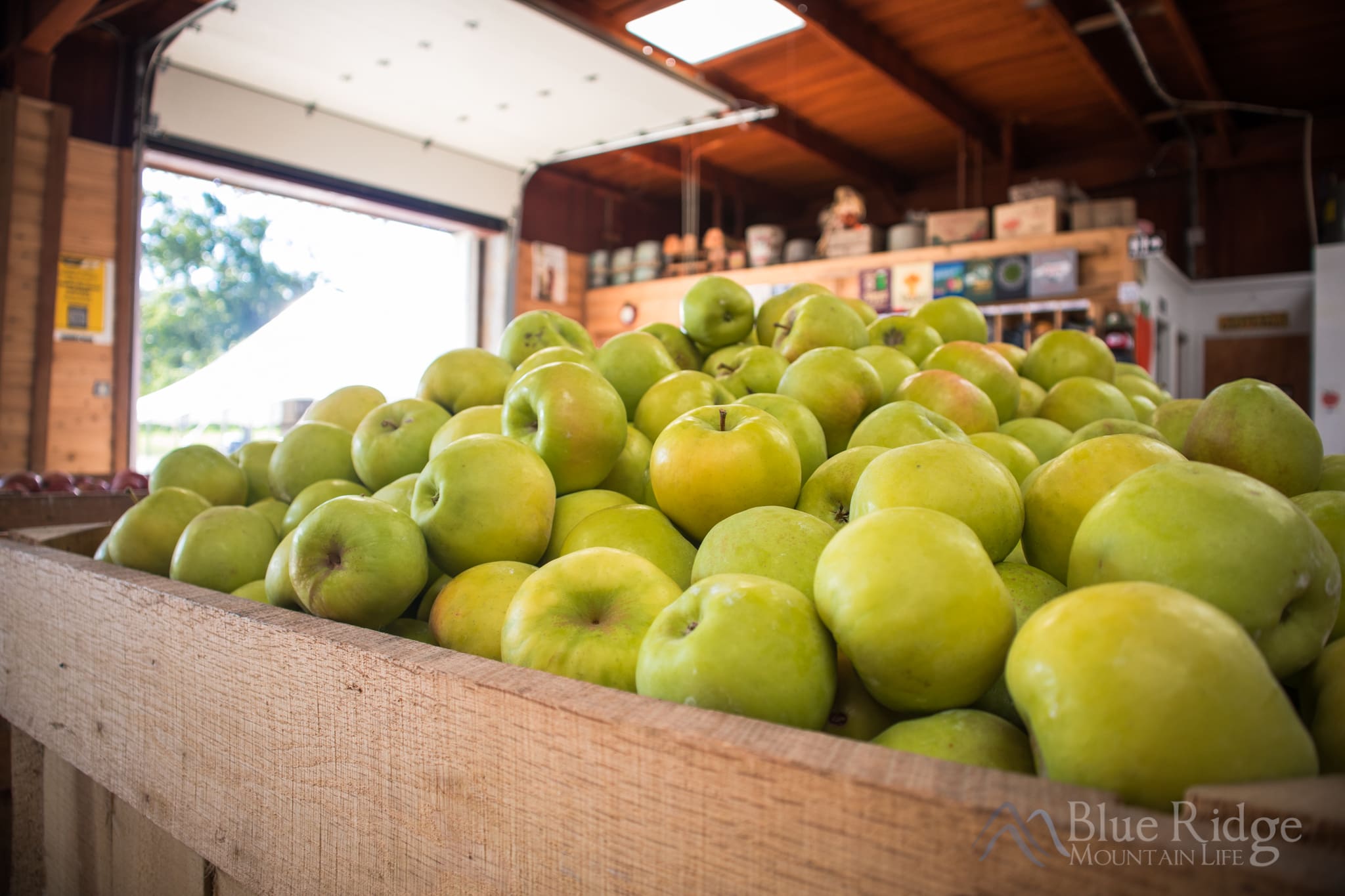 11 Best Apple Orchards in the North Carolina Mountains - Blue Ridge ...