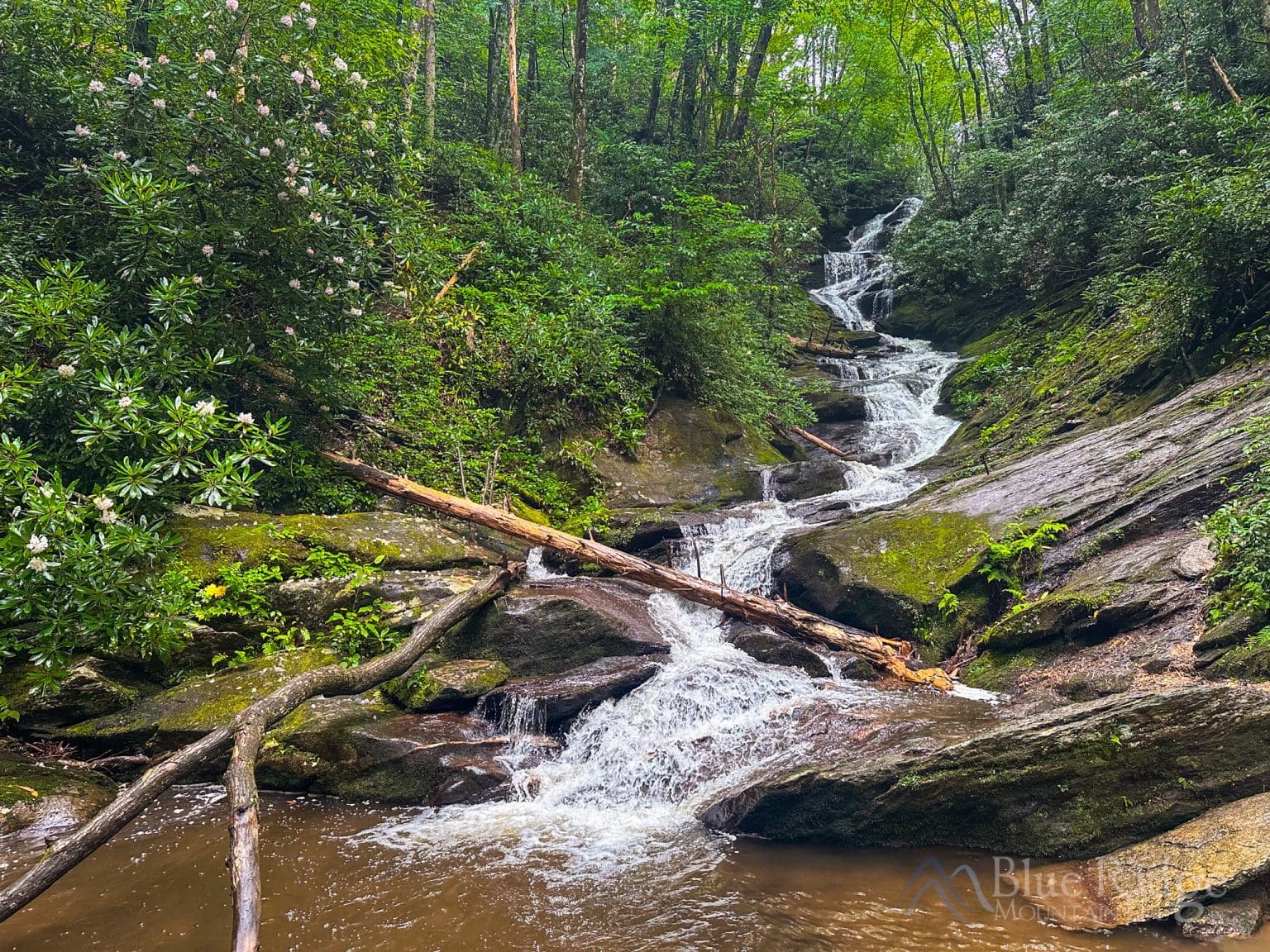15+ Best Things to Do in Burnsville NC