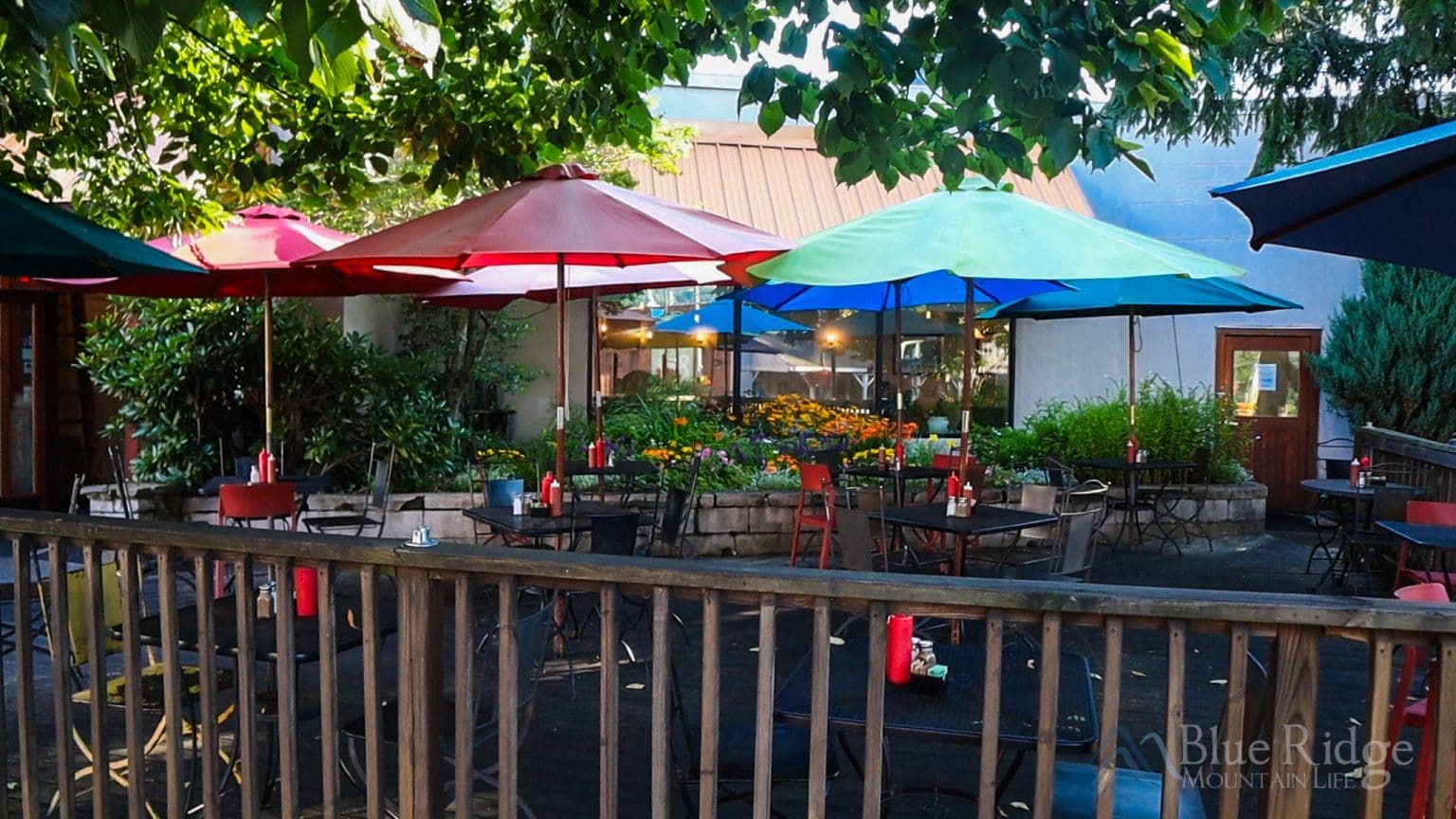 9+ Exceptional Restaurants in Boone NC