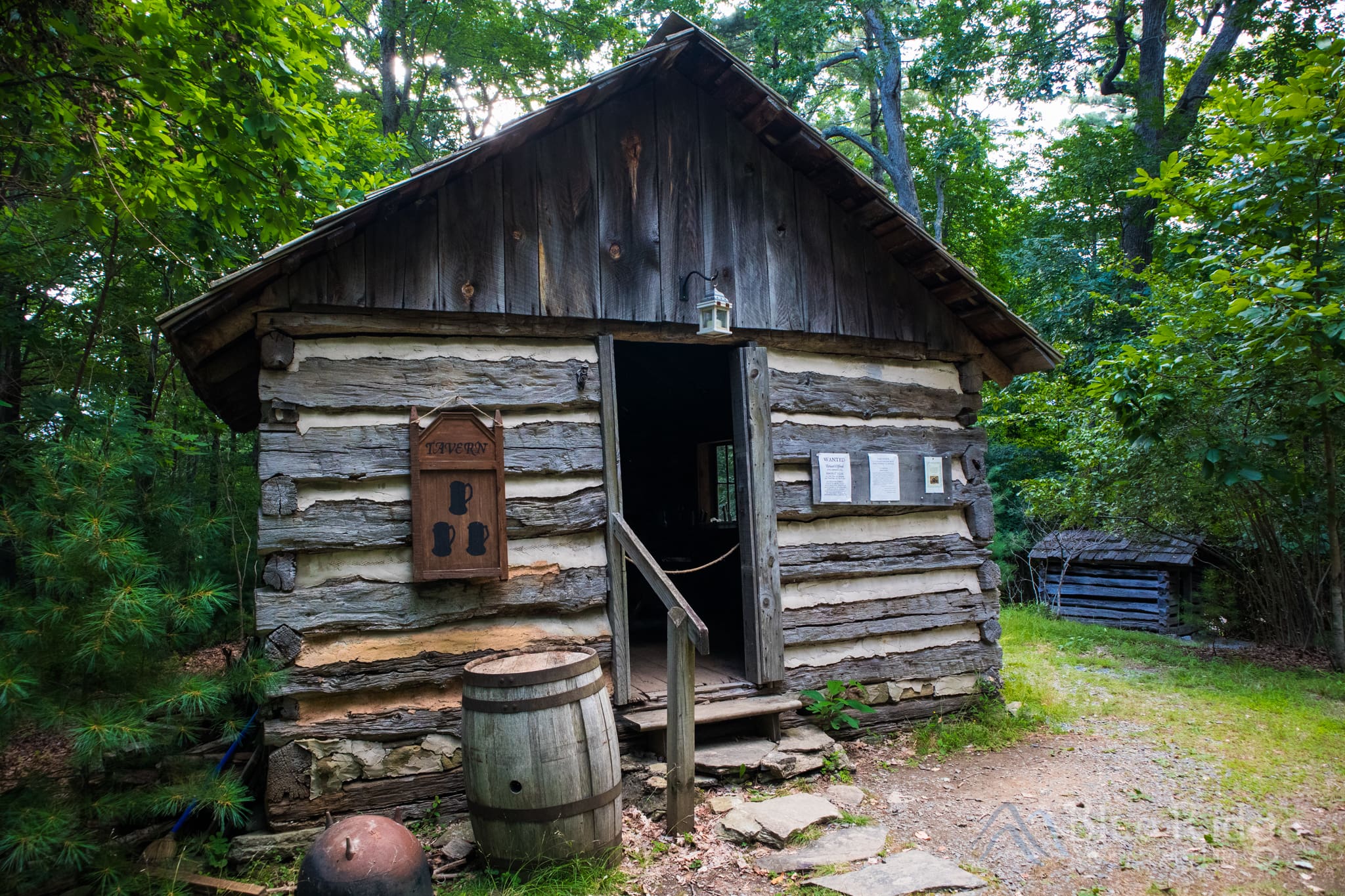 17+ Best Things to Do in Boone NC (2024)