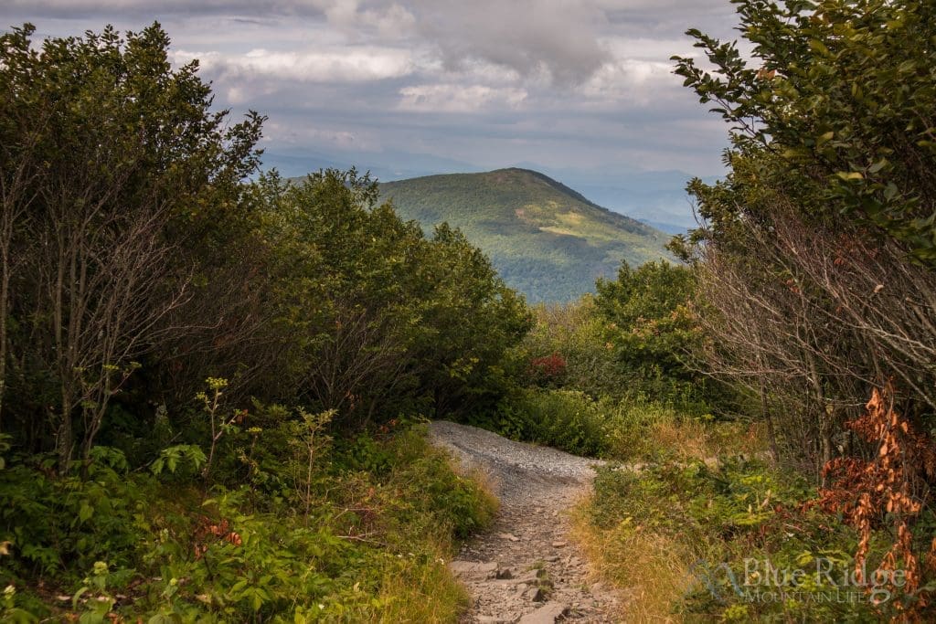 17+ Best Things to Do in Boone NC