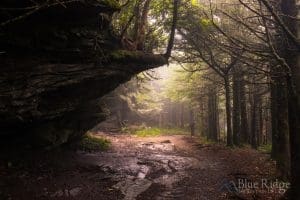 Top 18 Blue Ridge Parkway Hiking Trails