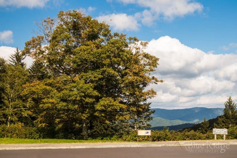 Fall Colors and Foliage Guide 2023 - Blue Ridge Mountain Life