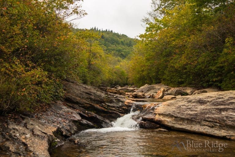 Fall Colors and Foliage Guide 2023 - Blue Ridge Mountain Life