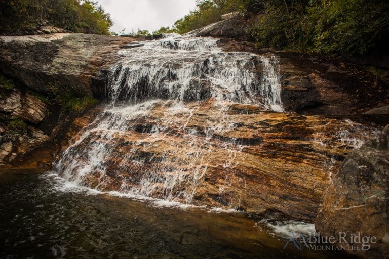 Fall Colors and Foliage Guide 2023 - Blue Ridge Mountain Life