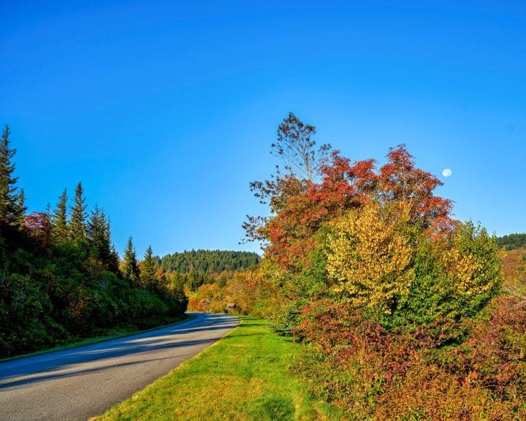Fall Colors and Foliage Guide 2023 - Blue Ridge Mountain Life