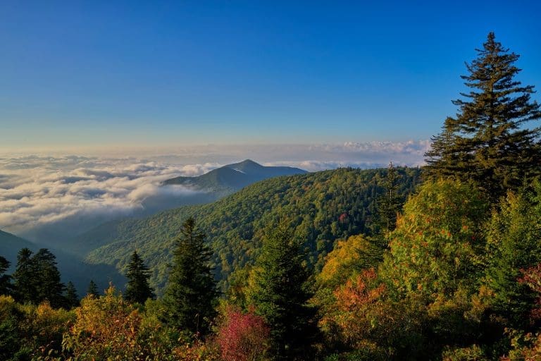 Fall Colors and Foliage Guide 2023 - Blue Ridge Mountain Life
