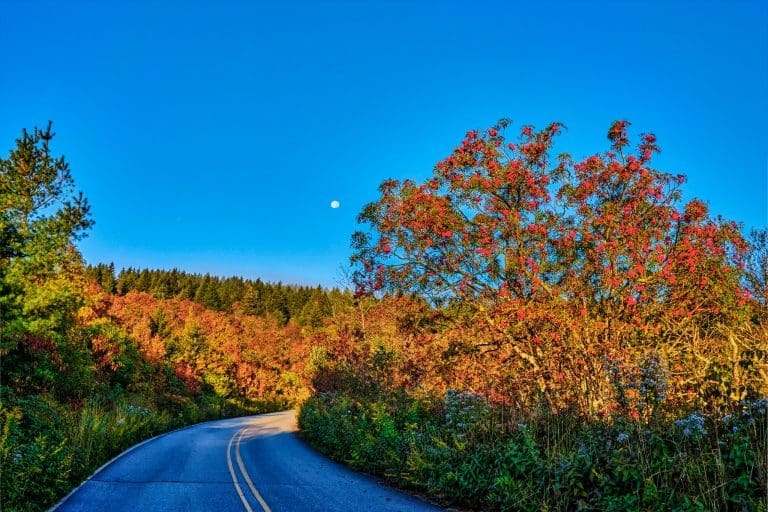 Fall Colors and Foliage Guide 2023 - Blue Ridge Mountain Life