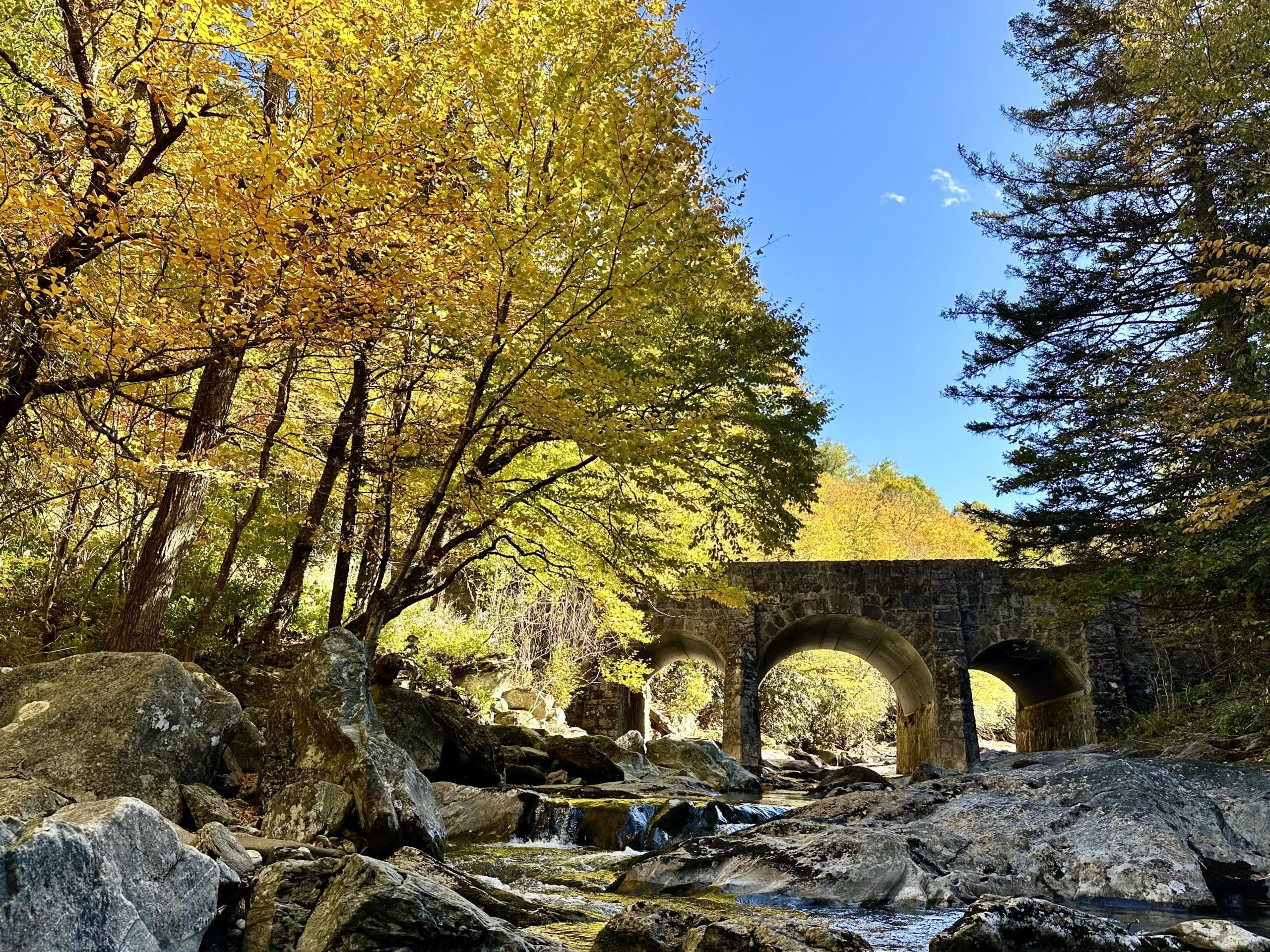 Fall Colors and Foliage Guide 2023 - Blue Ridge Mountain Life