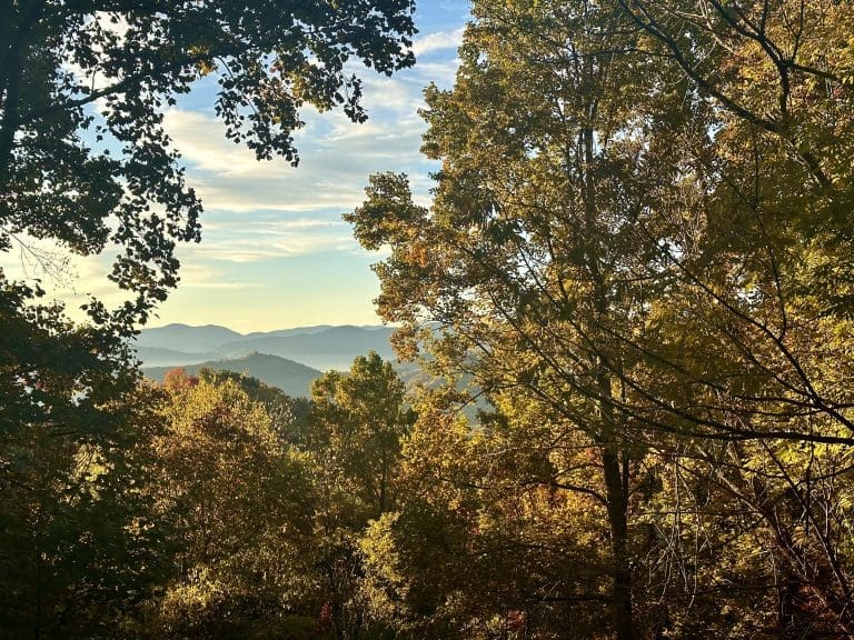 Fall Colors and Foliage Guide 2023 - Blue Ridge Mountain Life