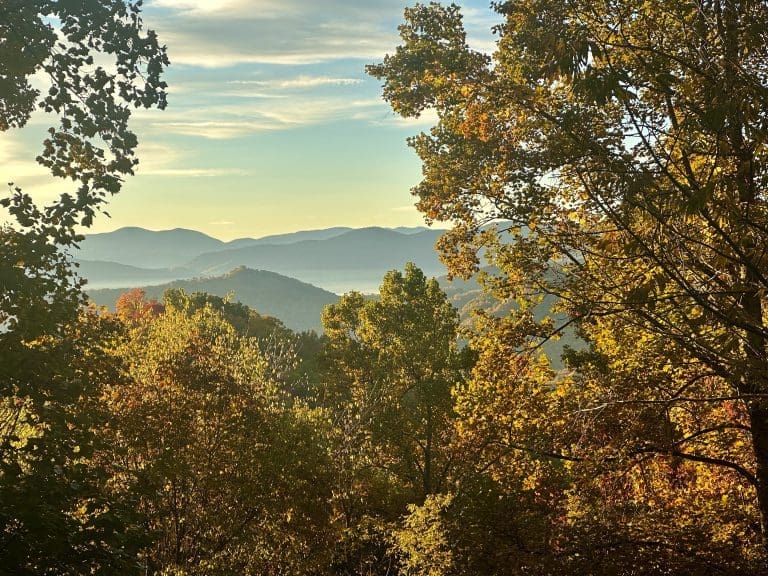 Fall Colors and Foliage Guide 2023 - Blue Ridge Mountain Life