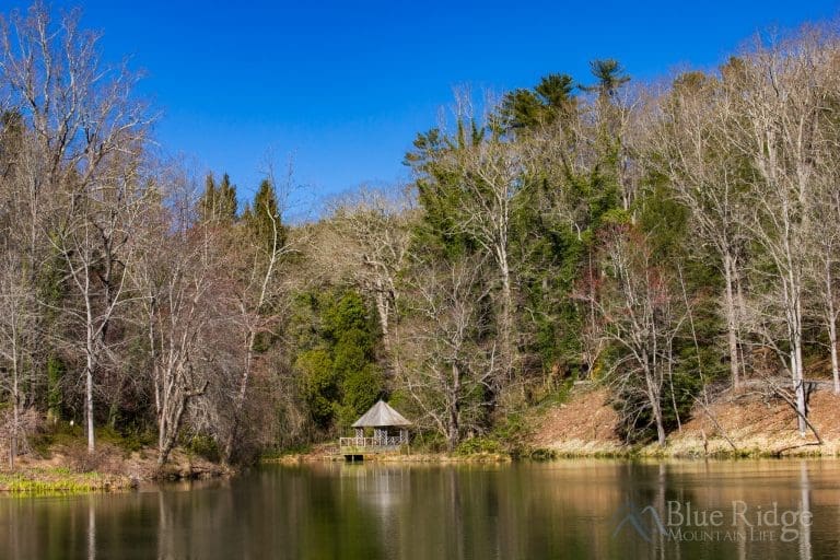 Biltmore Estate Visitor’s Guide
