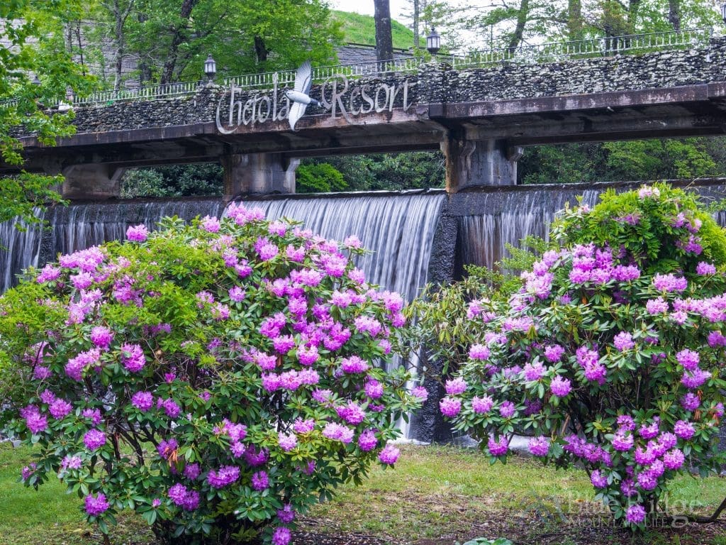 Why We Love Chetola Resort in Blowing Rock NC