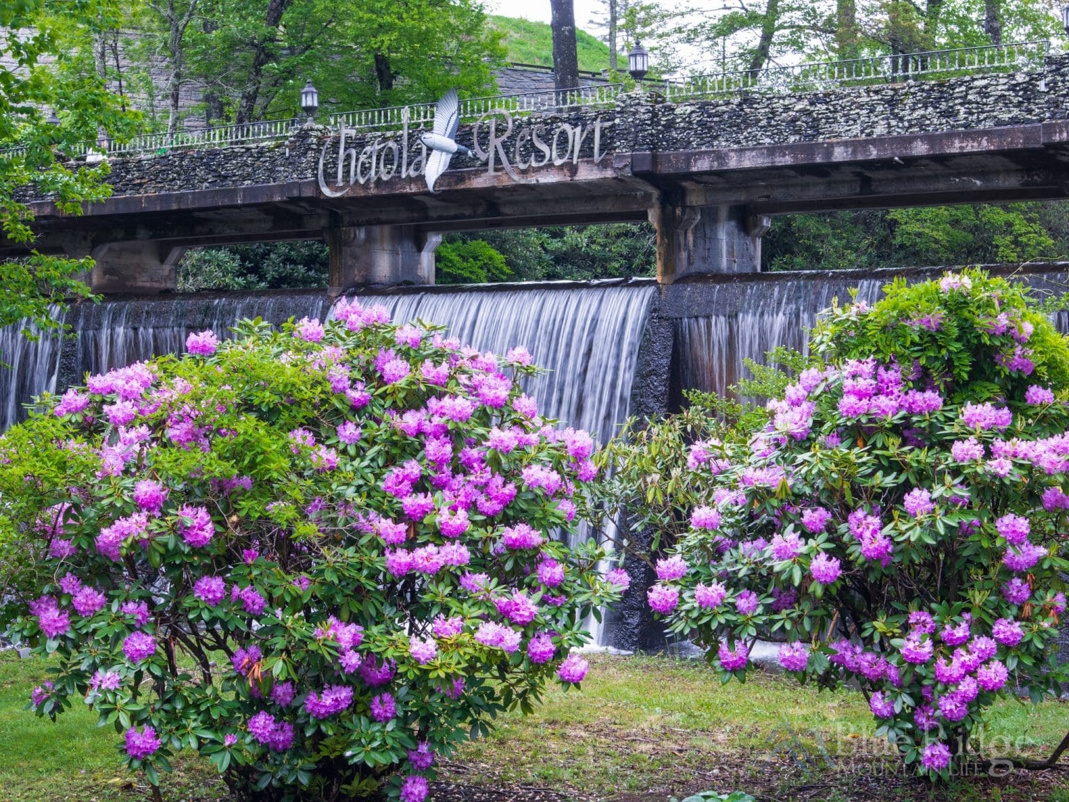 Why We Love Chetola Resort in Blowing Rock NC