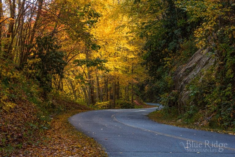 Blue Ridge Parkway Fall Color Viewing Guide