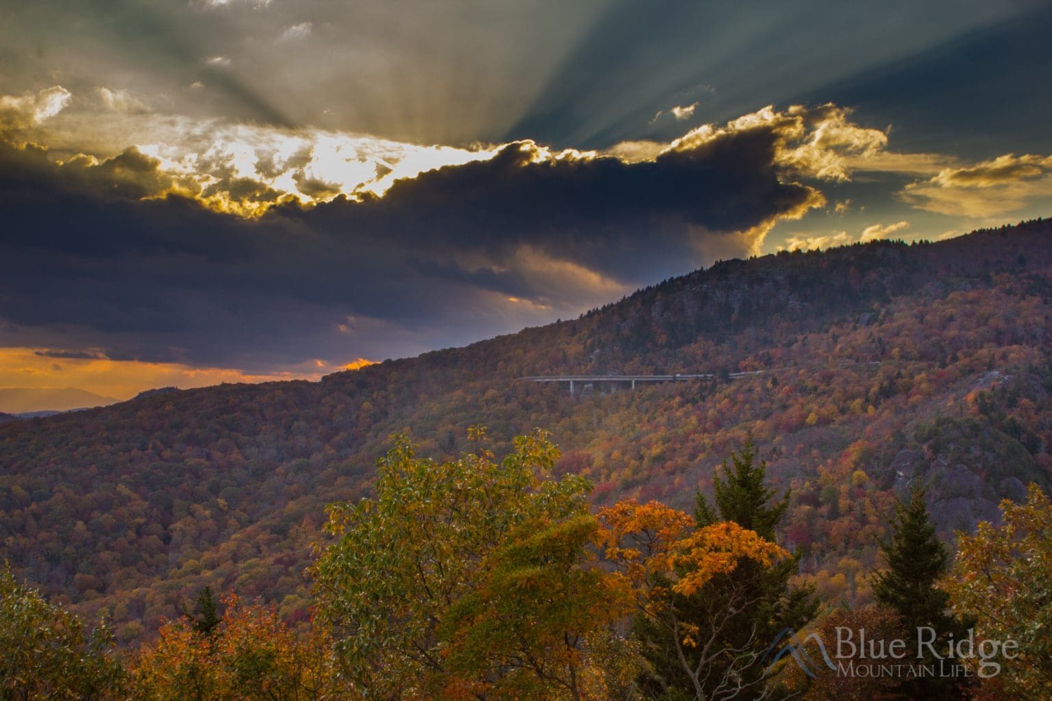 Blue Ridge Parkway Fall Color Viewing Guide