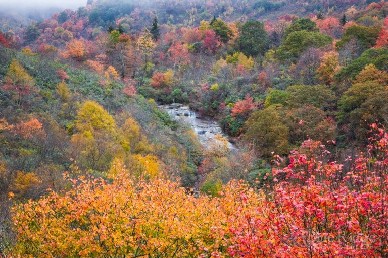 Blue Ridge Parkway Fall Color Viewing Guide