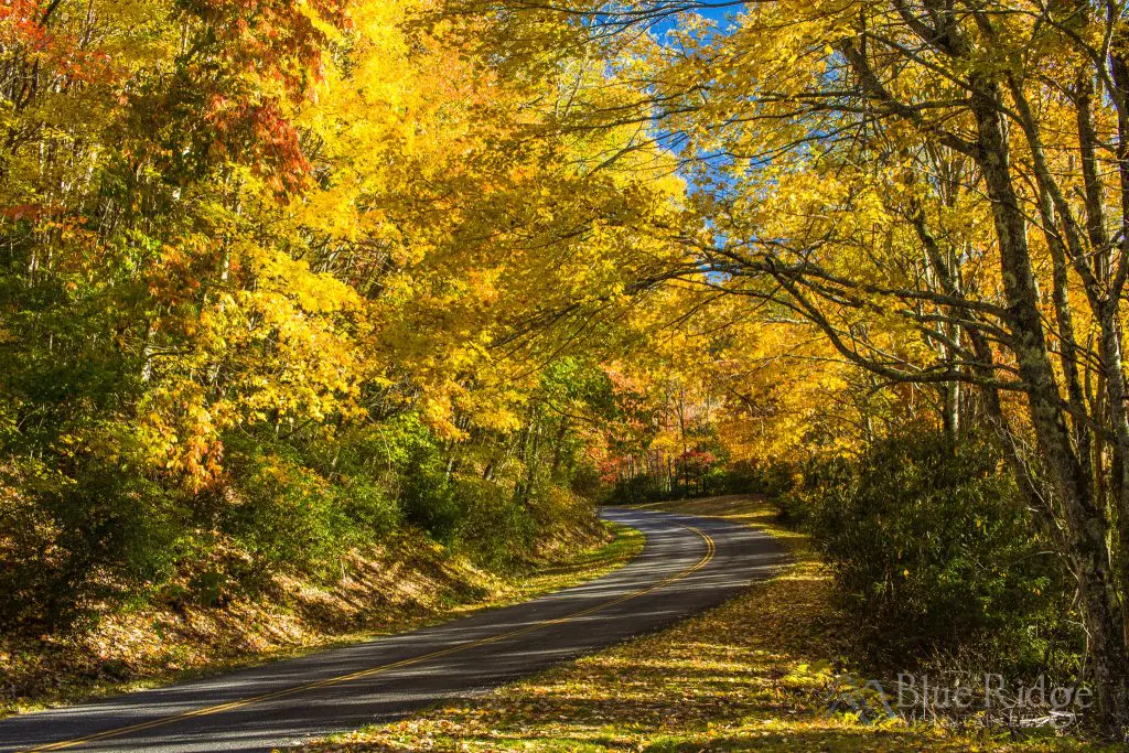 The Ultimate Blue Ridge Parkway Travel Guide