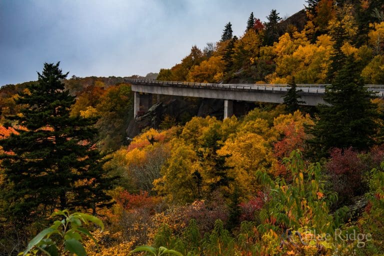 Blue Ridge Parkway Fall Color Viewing Guide