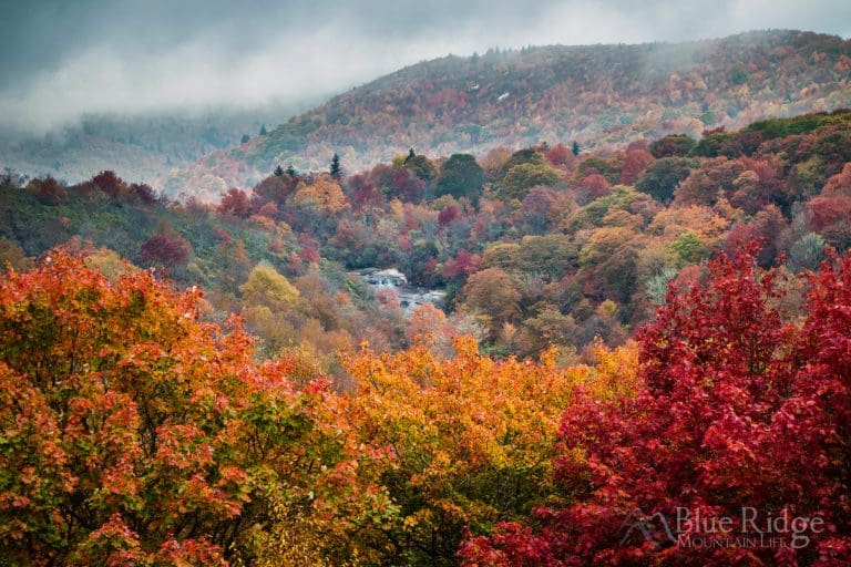 Blue Ridge Parkway Fall Color Viewing Guide