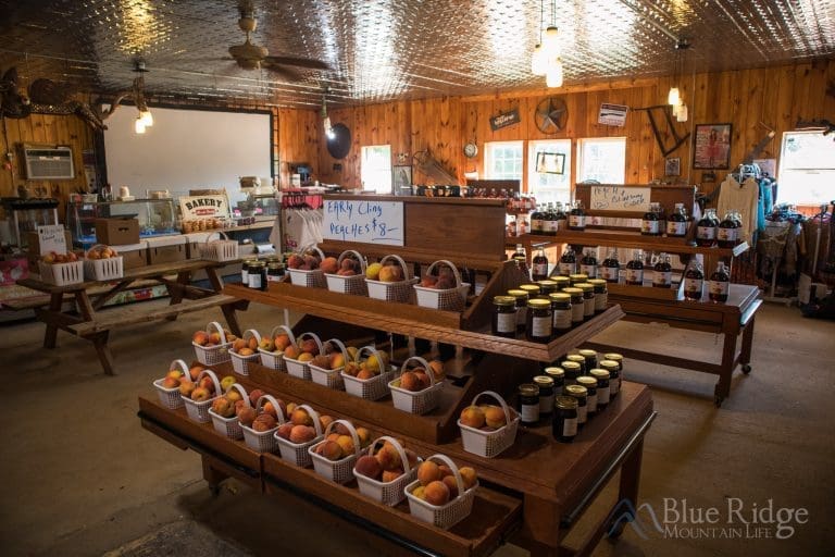 15+ Things to do in Mount Airy North Carolina - Mayberry and so much more!