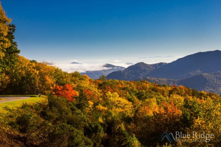 Blue Ridge Parkway Fall Color Viewing Guide