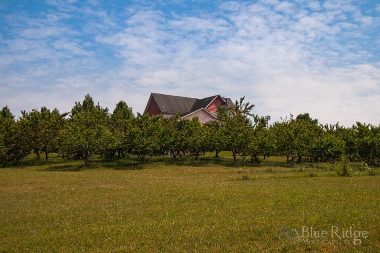 15+ Things to do in Mount Airy North Carolina - Mayberry and so much more!