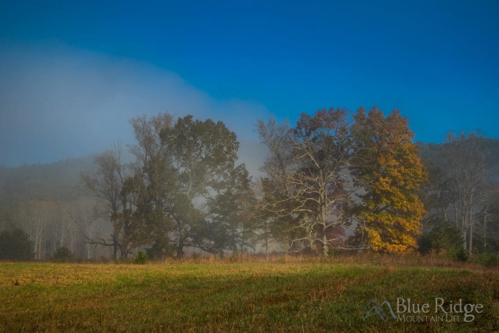 Fall Color Guide for the Smoky Mountains