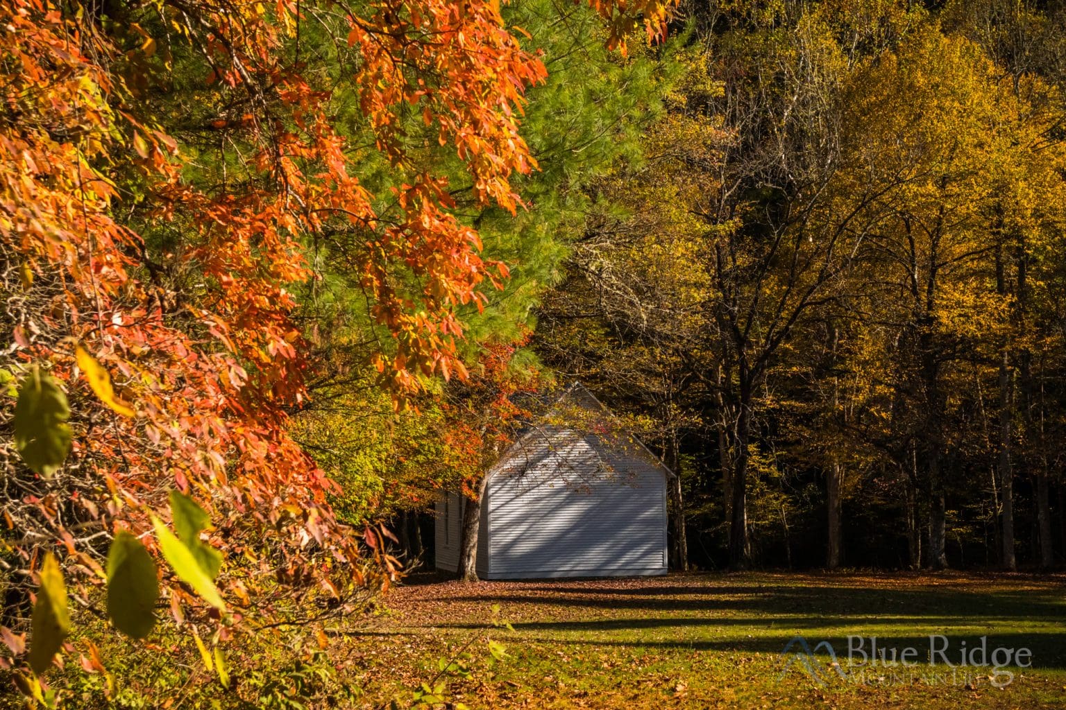 Fall Color Guide for the Smoky Mountains