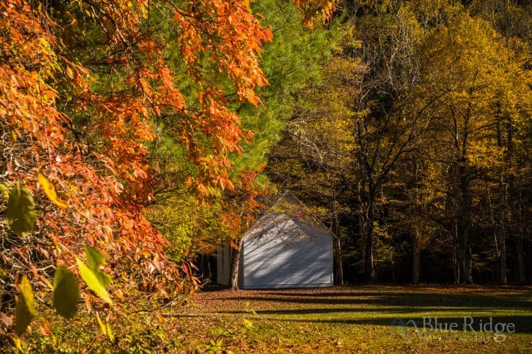Fall Color Guide for the Smoky Mountains