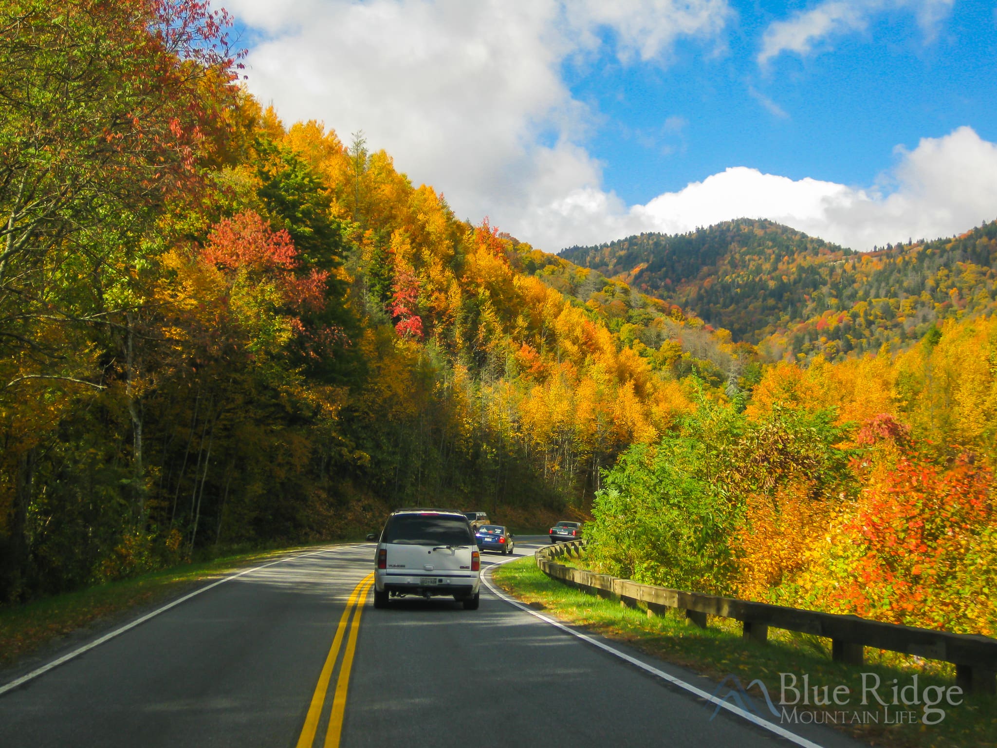 Fall Color Guide for the Smoky Mountains
