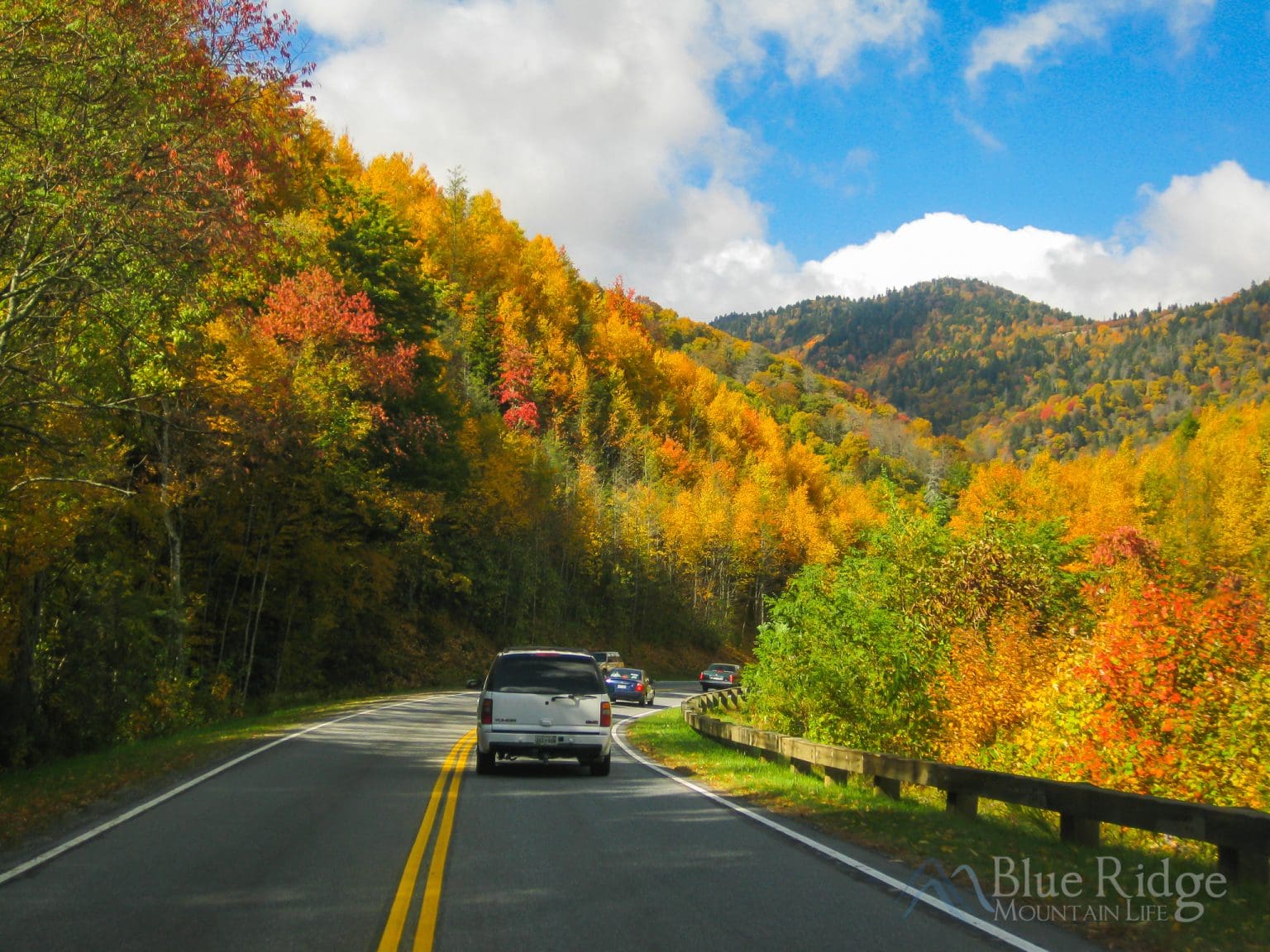 Fall Color Guide for the Smoky Mountains