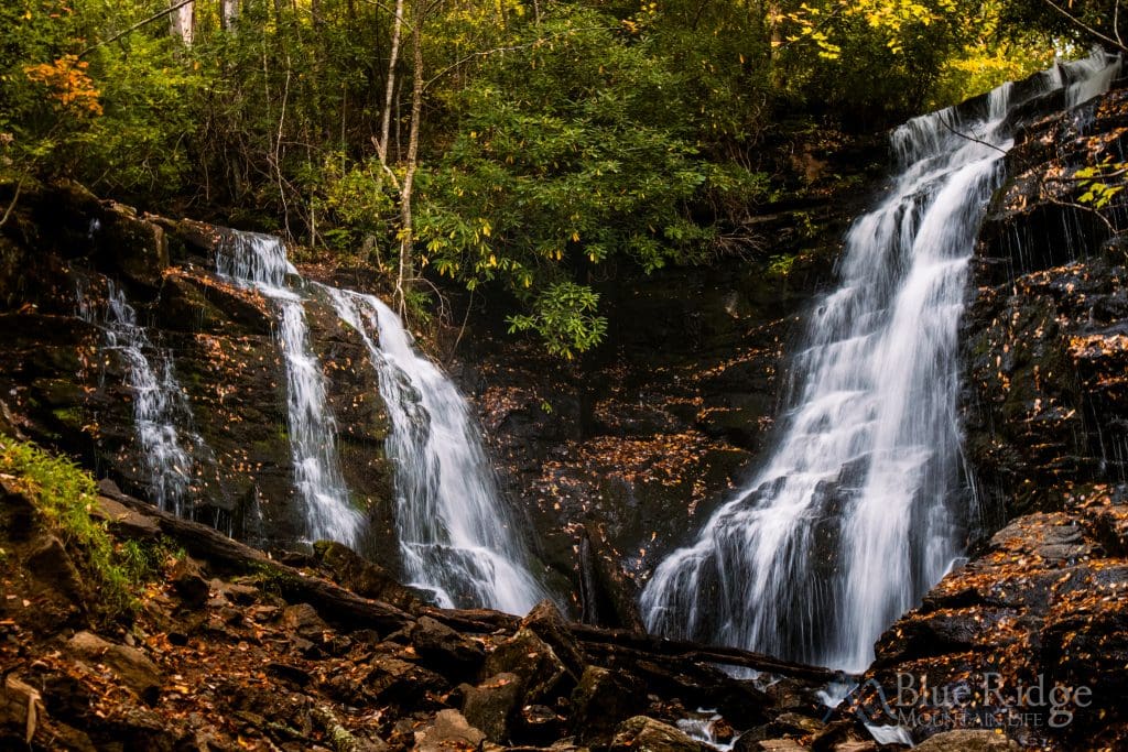 Fall Color and Foliage Guide 2024